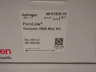 Actuaciencia: Extracción de ADN a partir de sangre periférica por ...