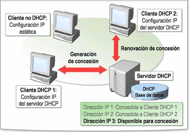 Que Es Un Servidor Dhcp Y Como Funciona - Descargar Video