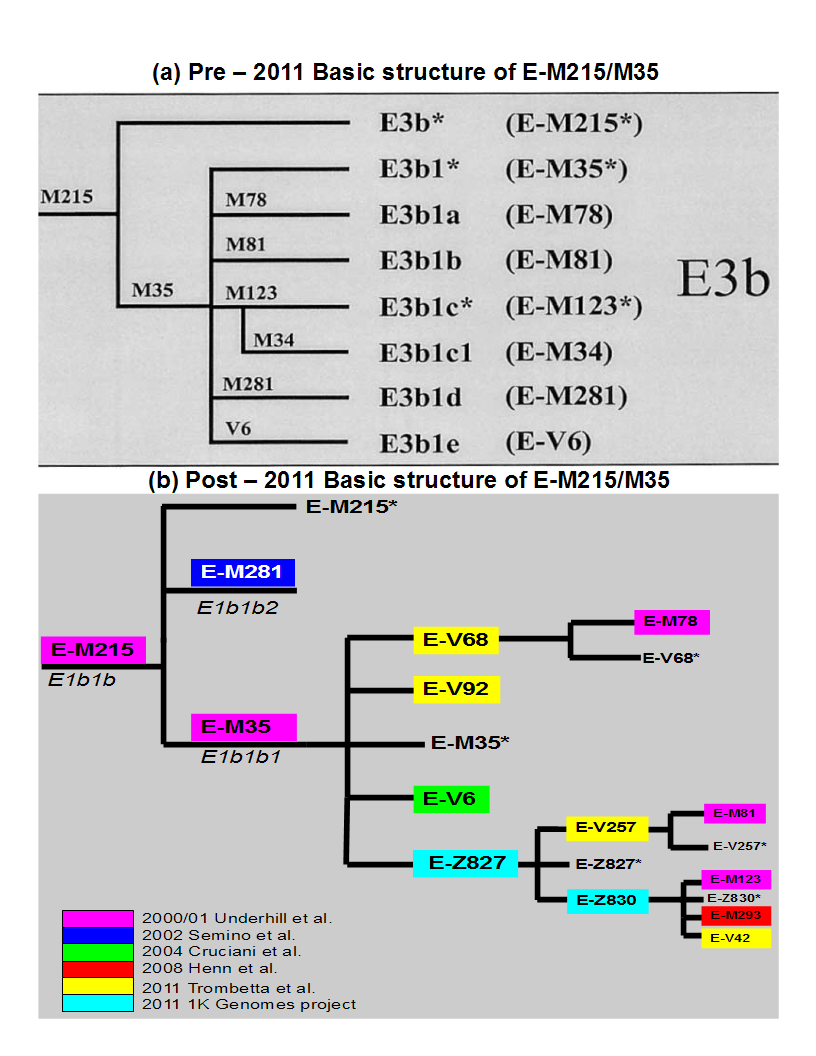 Ethio Helix ኢትዮ:ሒሊክስ: YDNA E-M123; A closer look