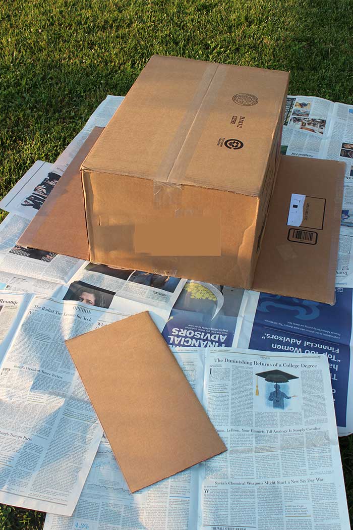 Put on a Disney Junior Inspired Magic Show with a DIY Magician's Table ...