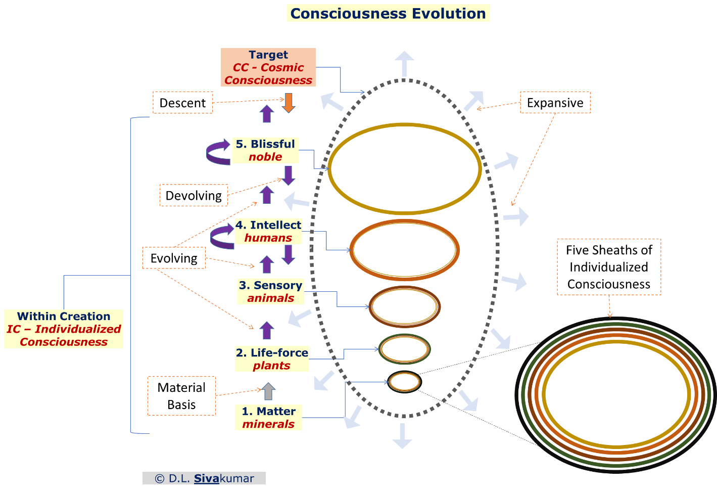 Section 2: Consciousness Evolution (TCE 9 - 16)