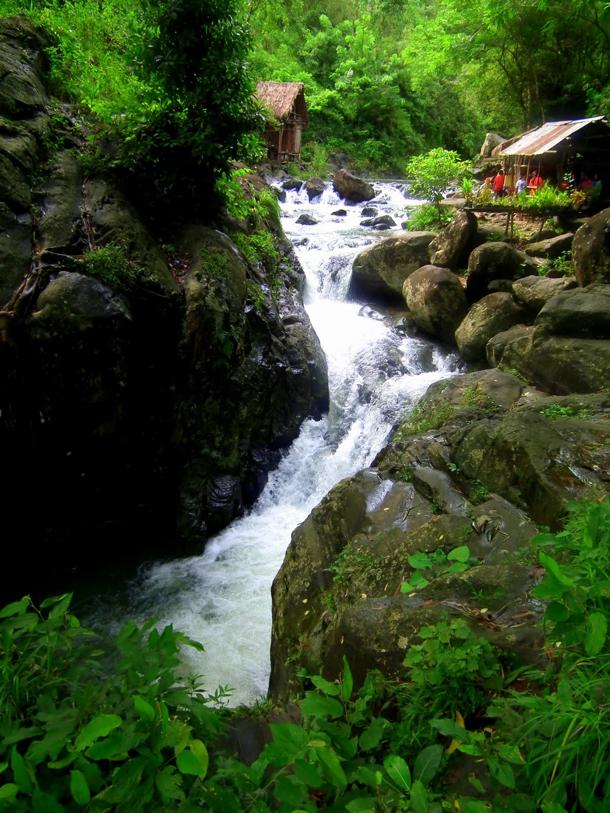 Trip ni DorangExplorer: Bacolod - Nature Trip at Negros Occidental