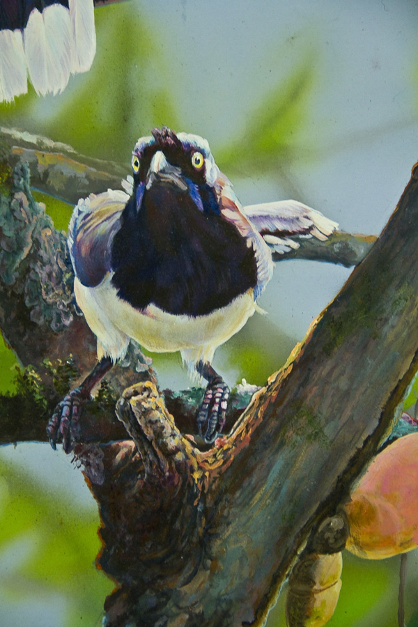 DIGITAL CAMERA ADVENTURES: UTOPIAS: NATURALISTAS, MAESTROS DE LA LUZ