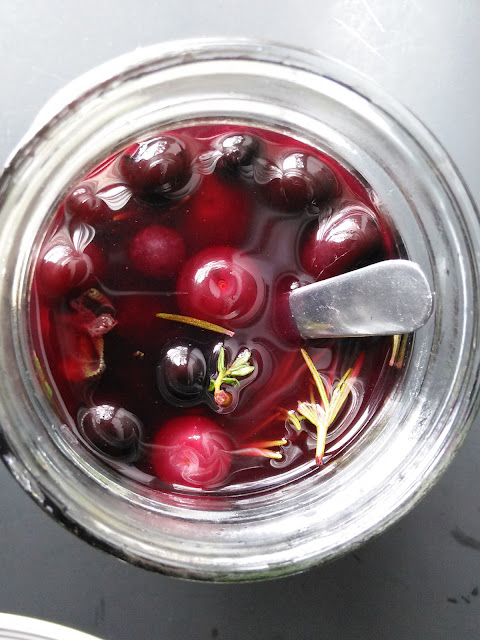 Pickled Blueberries and Goat Cheese Salad | Nik Snacks - Nik Snacks