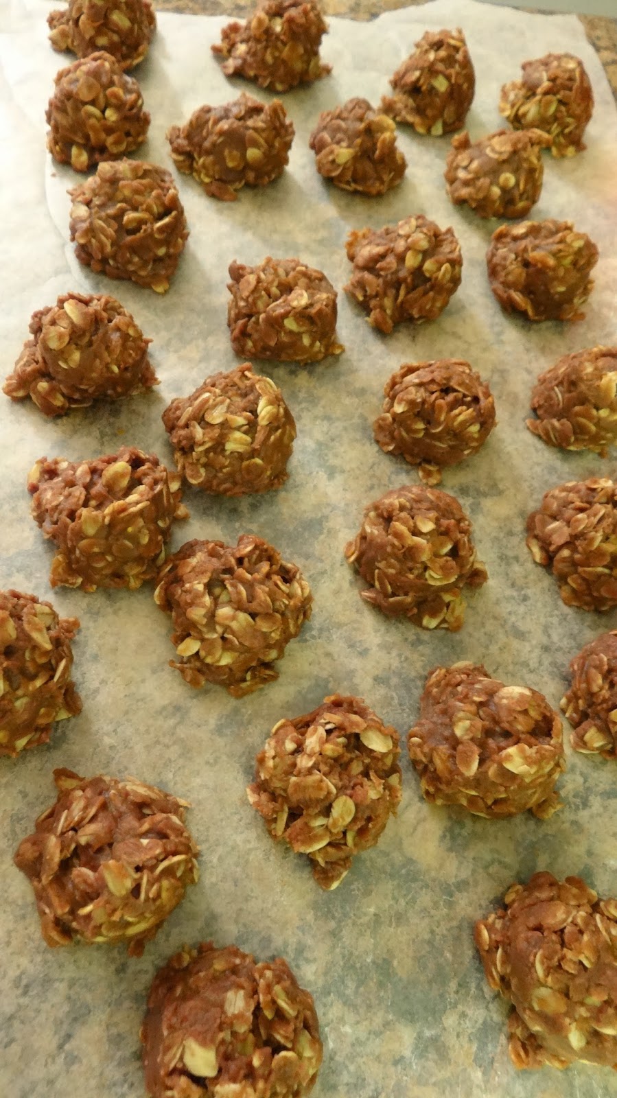 Day 1: Fail-Proof No Bake Cookies - Dishes and Designs