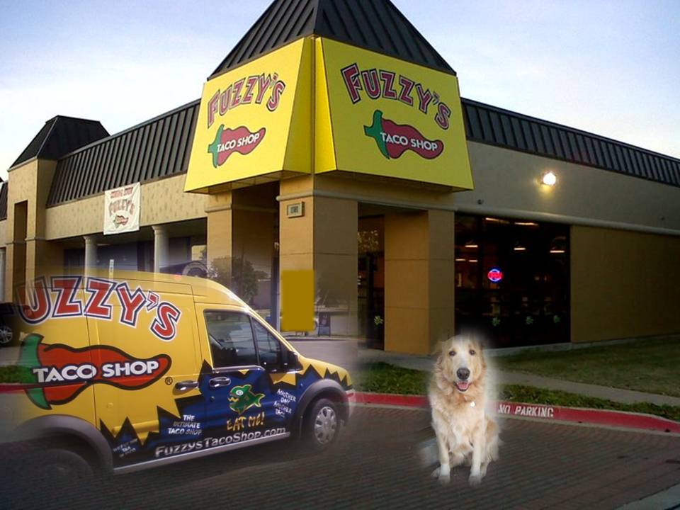 Love always, Bear: FuzzBuzz: Fuzzy's Taco Shop