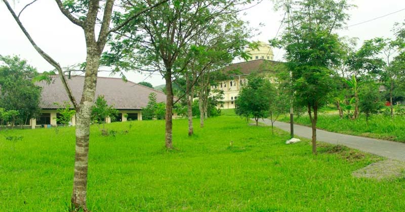 Kebun Samping Asrama Putra - DAFTAR - STIBA Ar Raayah