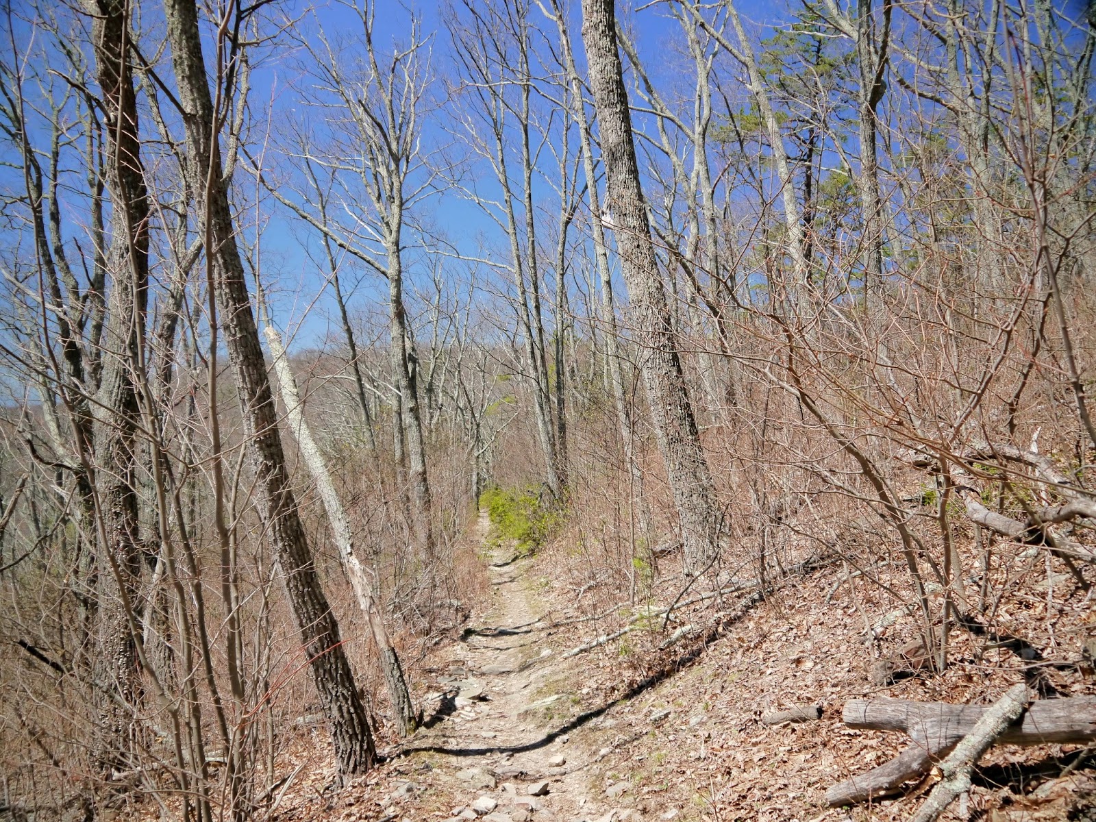 American Travel Journal: Wildcat Ridge Trailhead to Riprap Trailhead ...