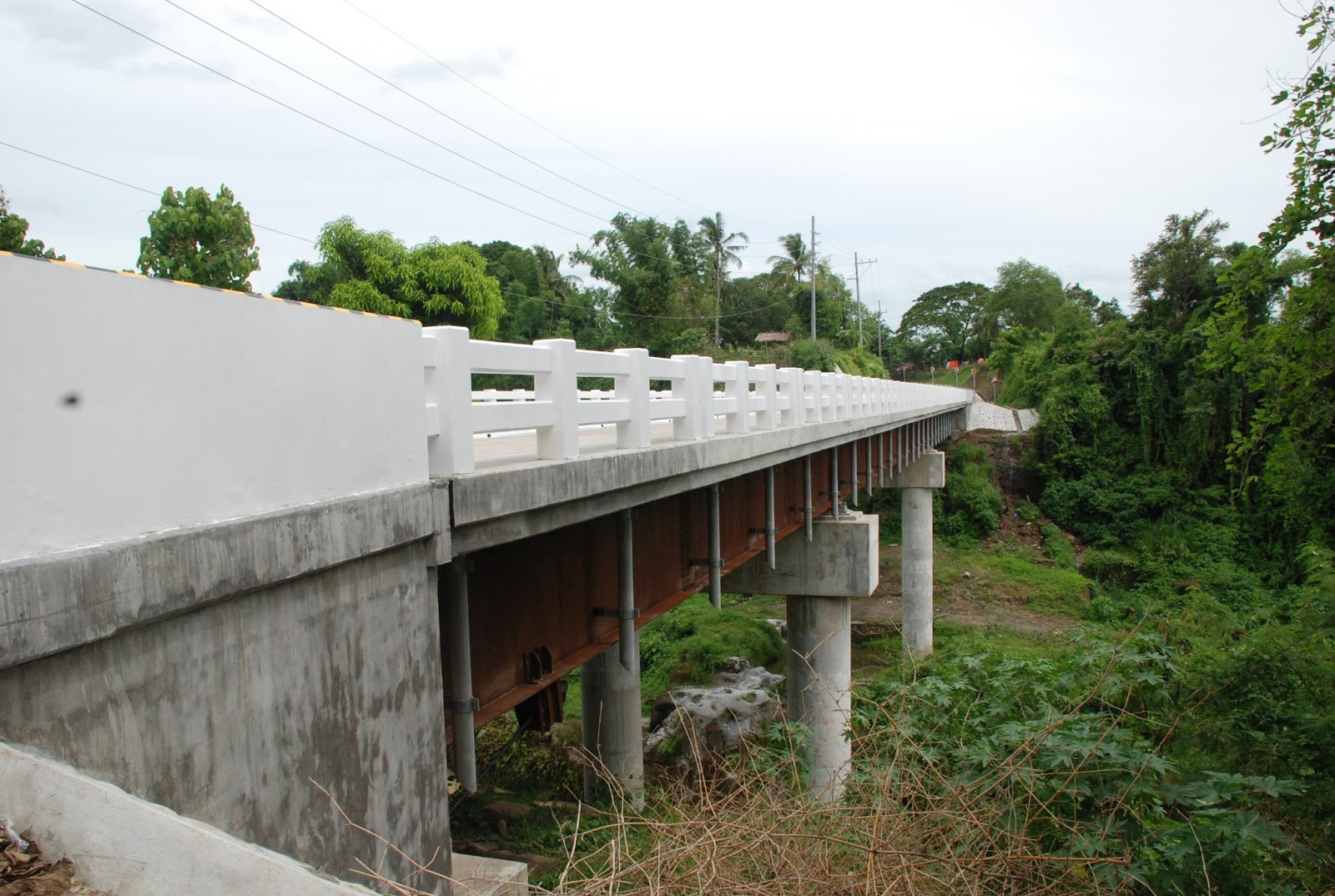 Dince's Chronicles: MABACAO BRIDGE
