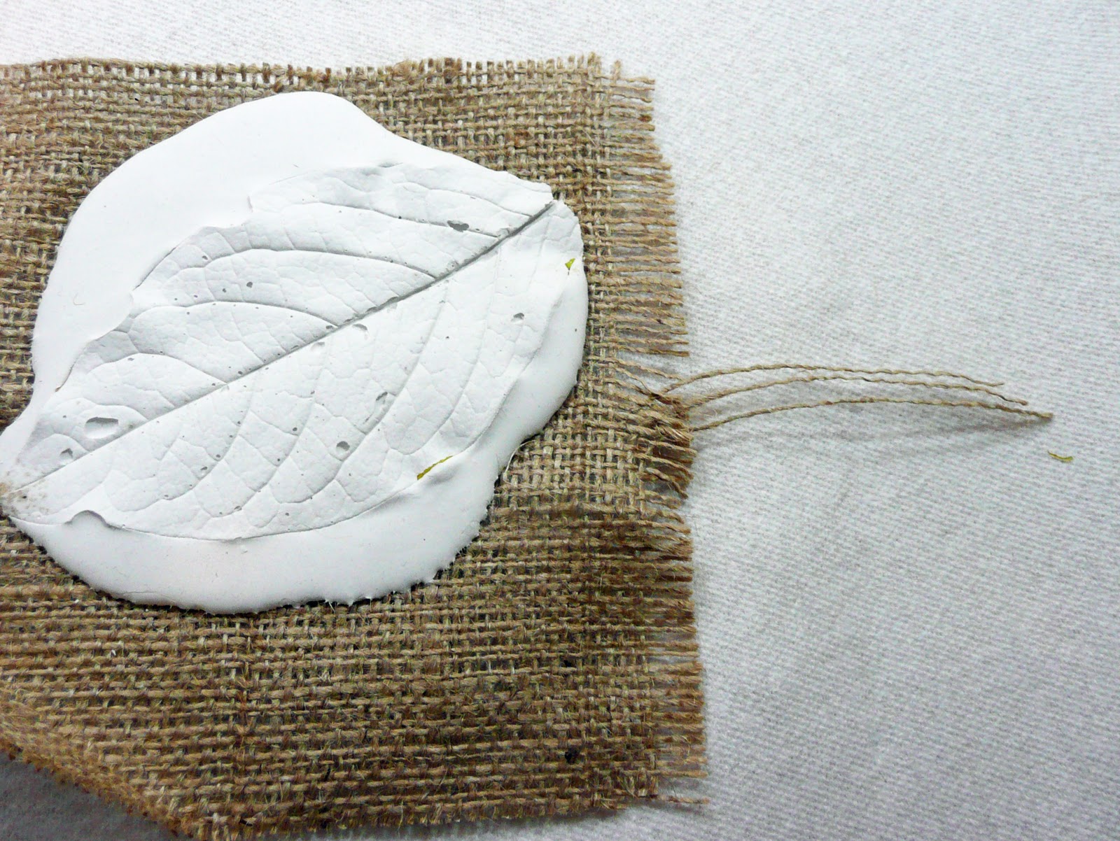 Plaster Of Paris Leaf Prints at Christy Sample blog