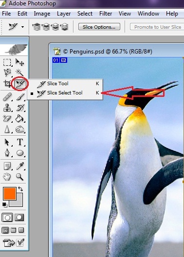 Online Classes for Photoshop: 14. Slice and Slice selection tools