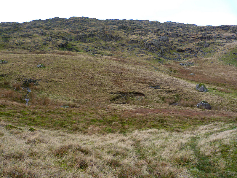 A Welsh man walking.: #61.RHOBELL FAWR.1-12-11.
