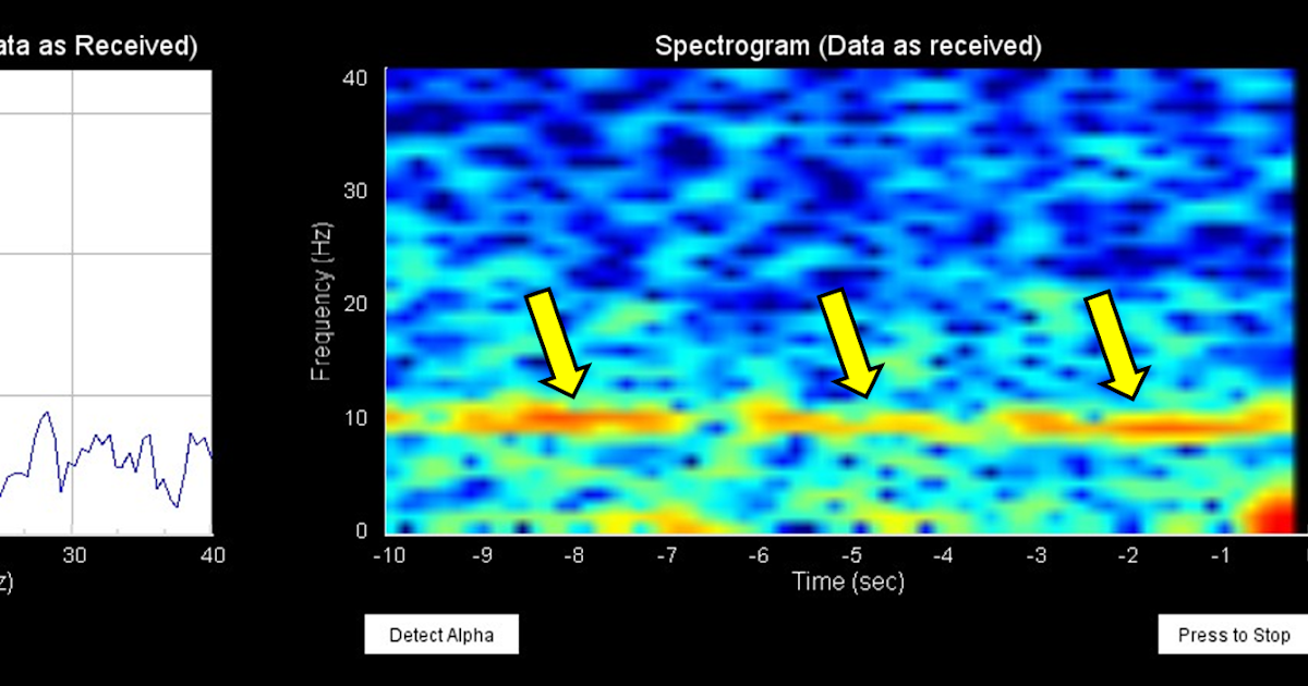 Eeg Hacker Live Spectrograms In Processing
