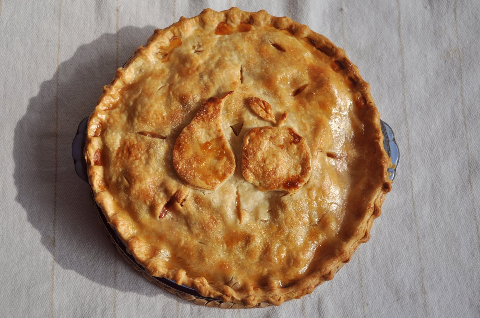 Bologna to Bolognese : Adventures with Food: Not Your Grandmother's ...