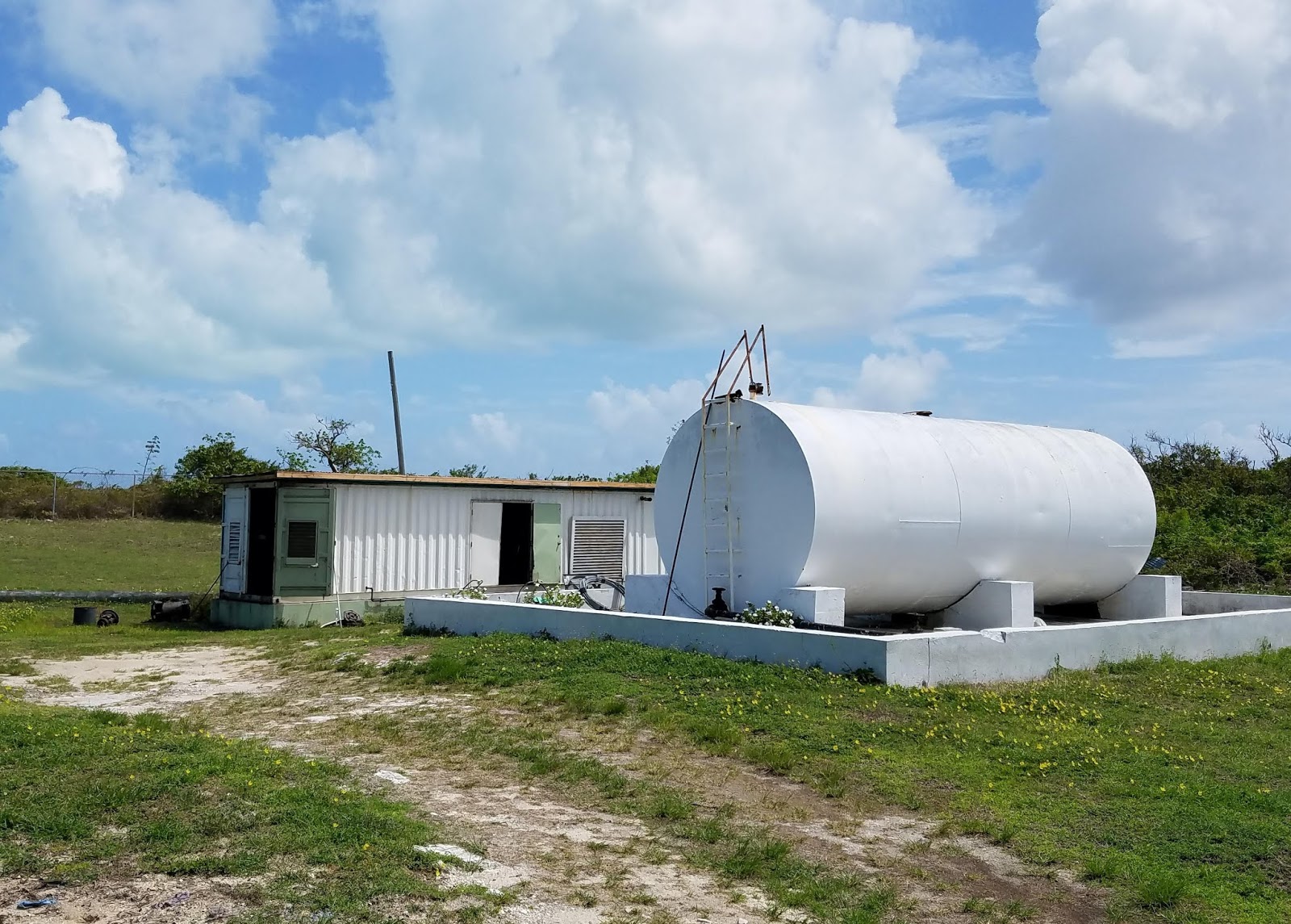 Our Odyssey: Albert Town