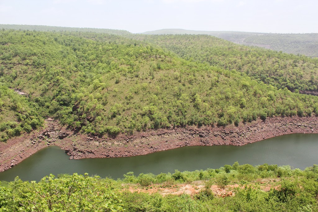 Nallamala Hills: A Dense Forest of Andhra Pradesh