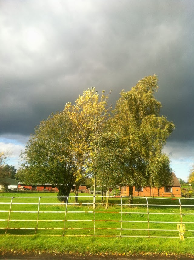 Experience UK: October 2013