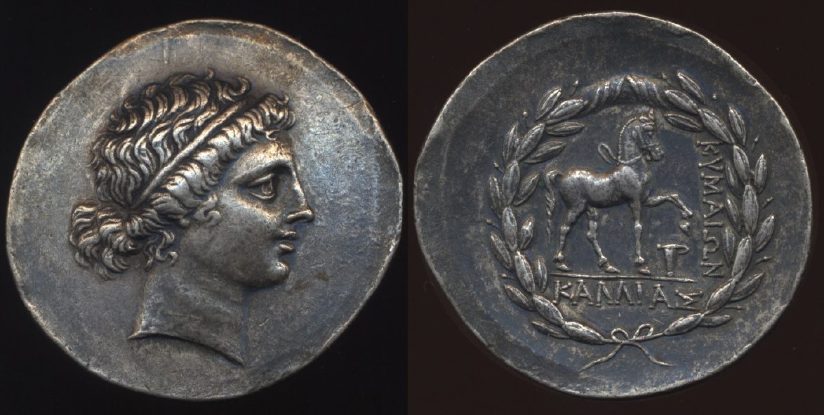 echo: AMAZONS Gallery, Peltas, Shields, Helmets, Breastplates, Coins ...