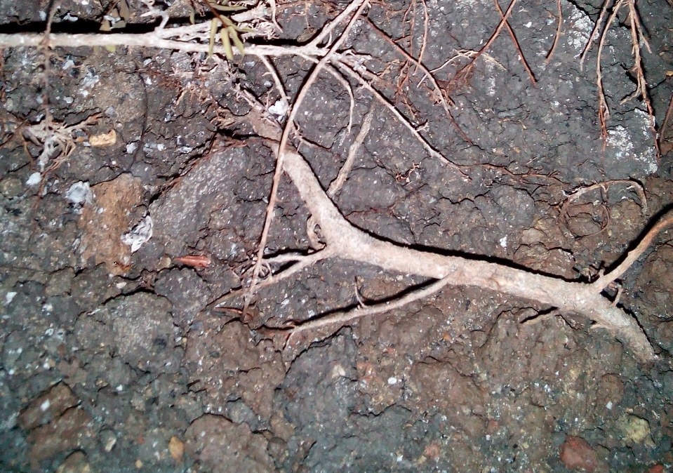 Types of Erosion: Ablation, Deflation, Corrosion, Abrasion, Eksarasi ...