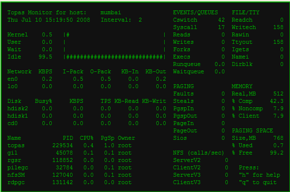 AIX Lessons : TOPAS Command Description