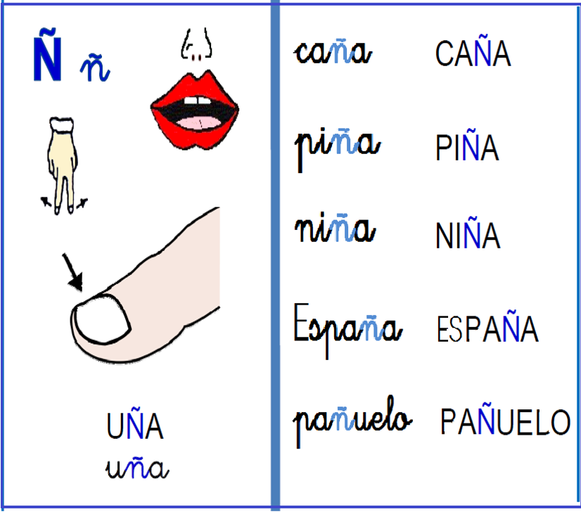 N y Ñ EN 5 B: N y Ñ EN 5 B