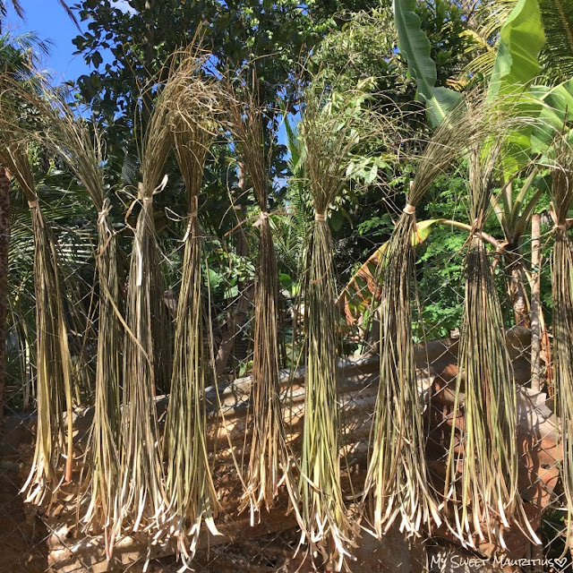 My Sweet Mauritius: LE VACOAS : UN BEL ARTISANAT MAURICIEN