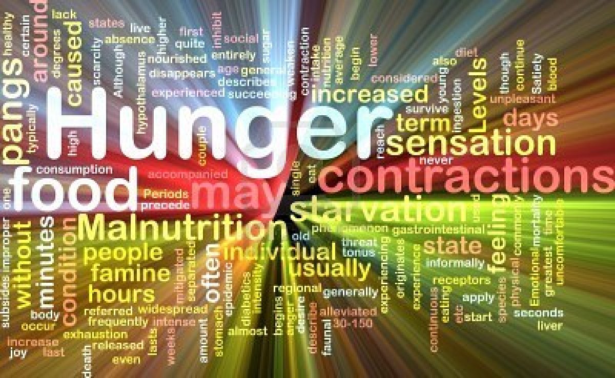 Enter The World: How to End Hunger and Starvation Instantly