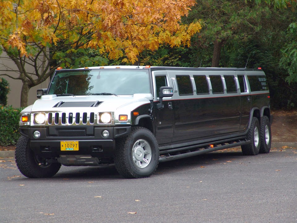 Hasan ERCAN: Limuzin (Limousine)