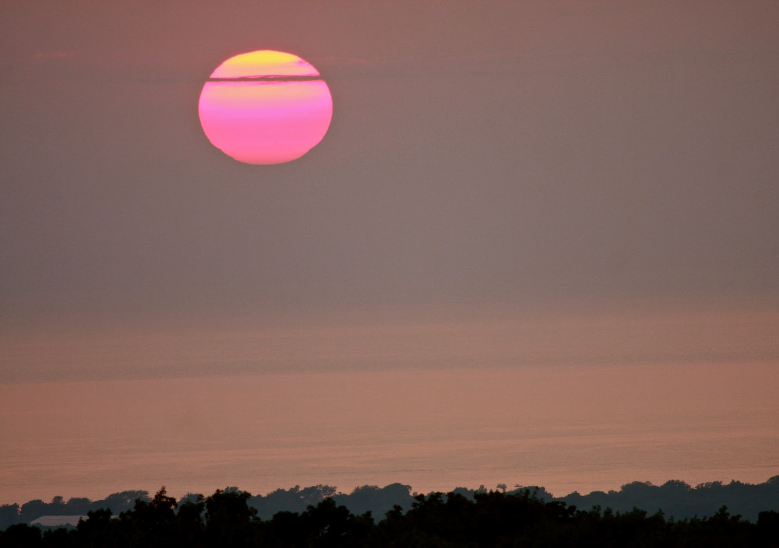 Gale's Photo and Birding Blog: Sunspots and then a Pink Sunset