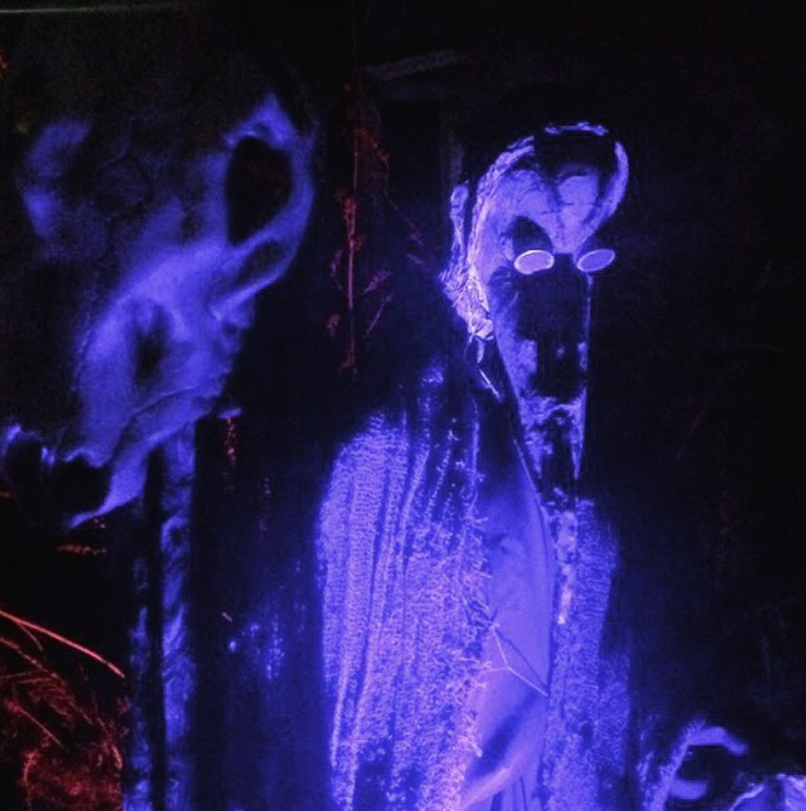 PUMPKINROT.COM: The Blog: Evil Vines Cemetery 2018