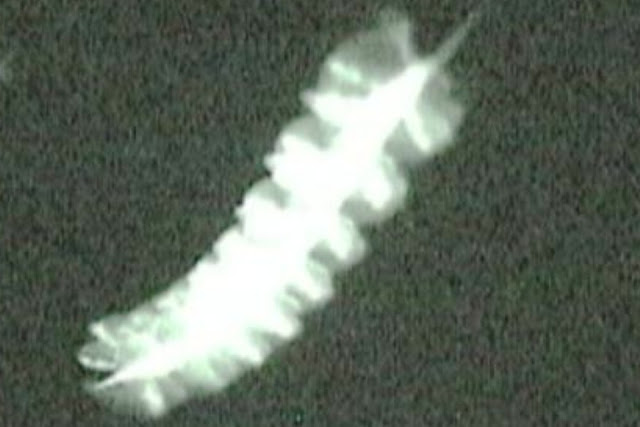 Enigmas Misteriosos: Los rods