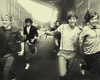 Catherine's blog: Team One Direction