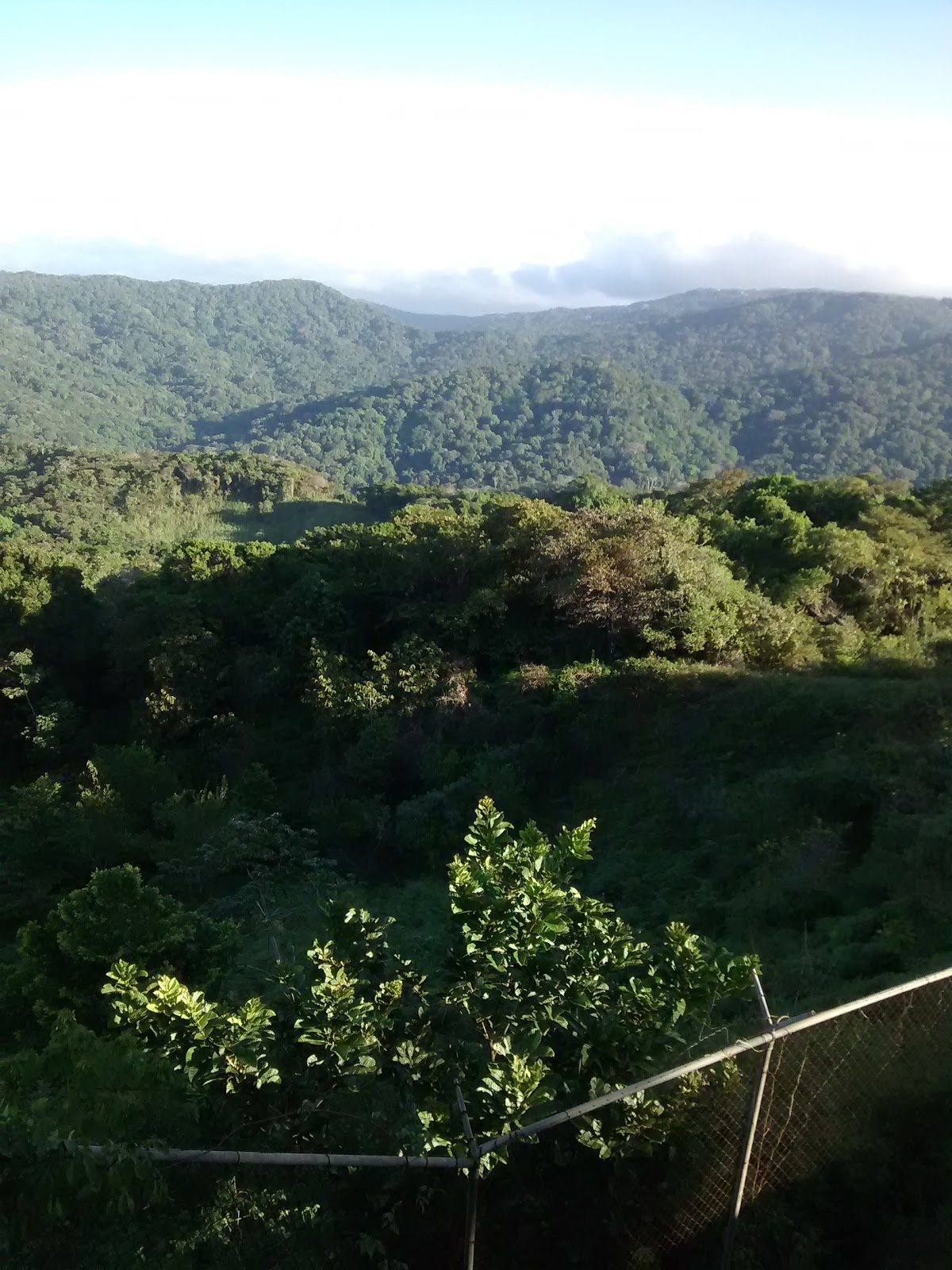 Montañista Sr. Isidro: Cerro Azul, Panamá