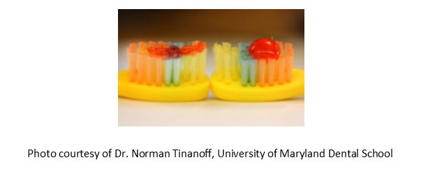 Choosy Kids: Did You Know? Age One is the New Three for Dentist Visits