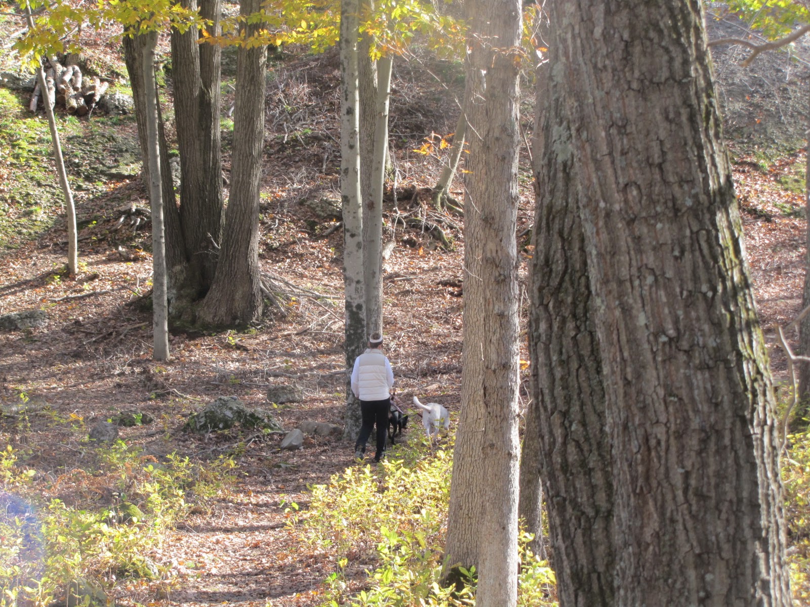 Wicked Yankee: Anawan Rock- Rehoboth, Ma