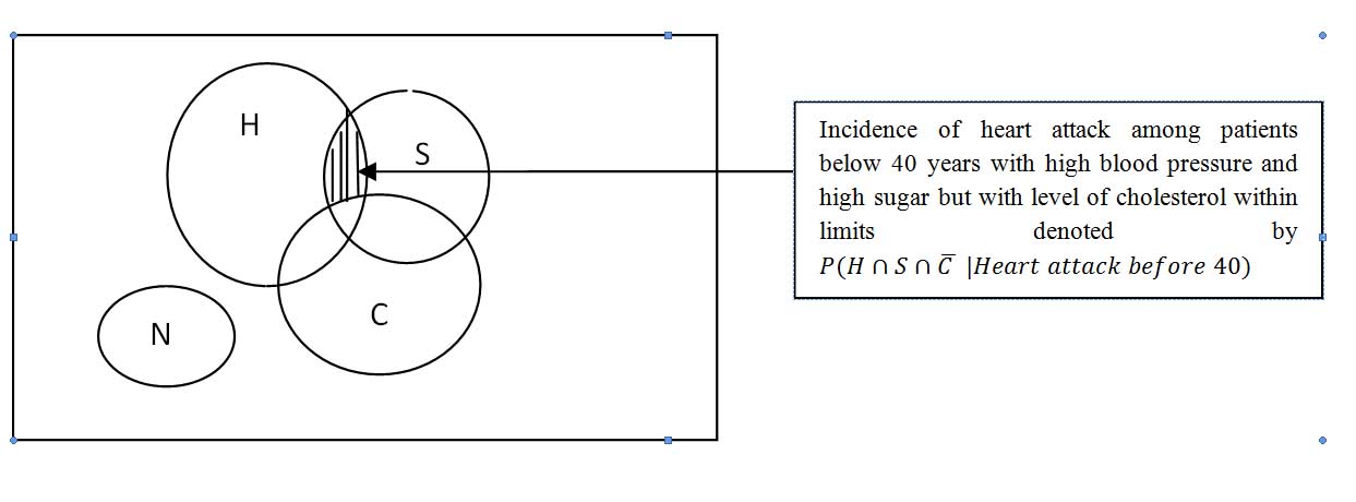 Data Fan: Understanding conditional probability through Venn Diagrams