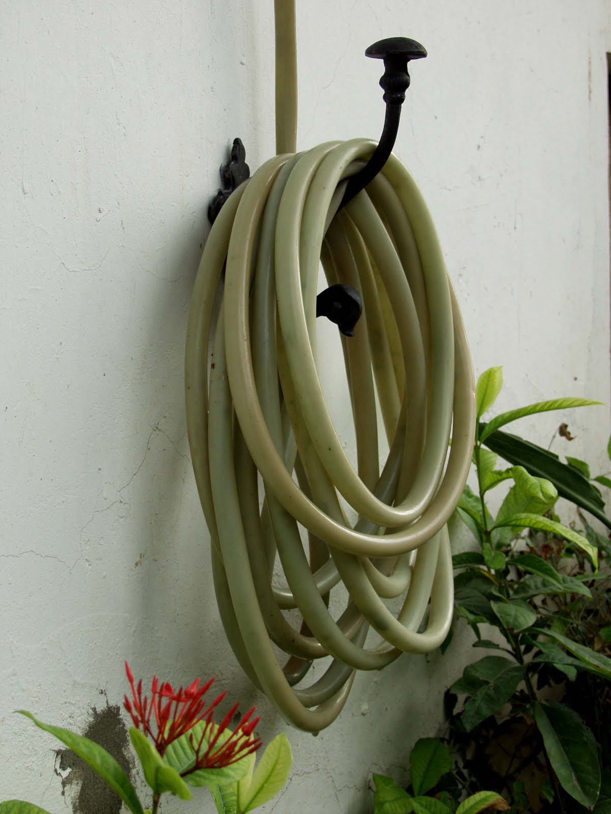 Rajee Sood: A simple home solution ... messy garden hose finds a home
