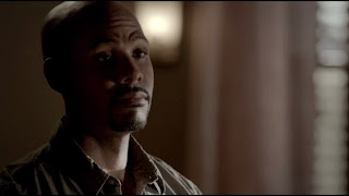 "Fiction reveals truths that reality obscures. ": THE VAMPIRE DIARIES ...