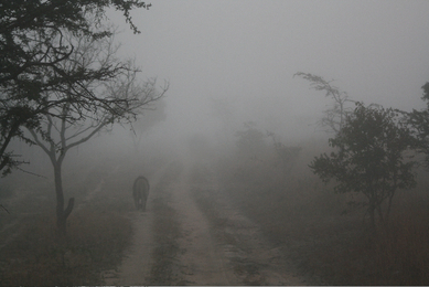 Seeks Ghosts: The Ridgeway Ghost