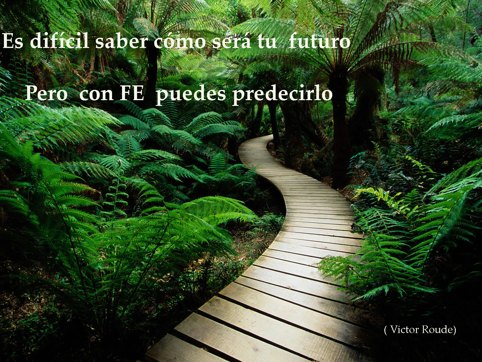 EL NUEVO SER HUMANO: ¿SABES COMO PREDECIR TU FUTURO? EL NUEVO SER HUMANO: ¿SABES COMO PREDECIR TU FUTURO?