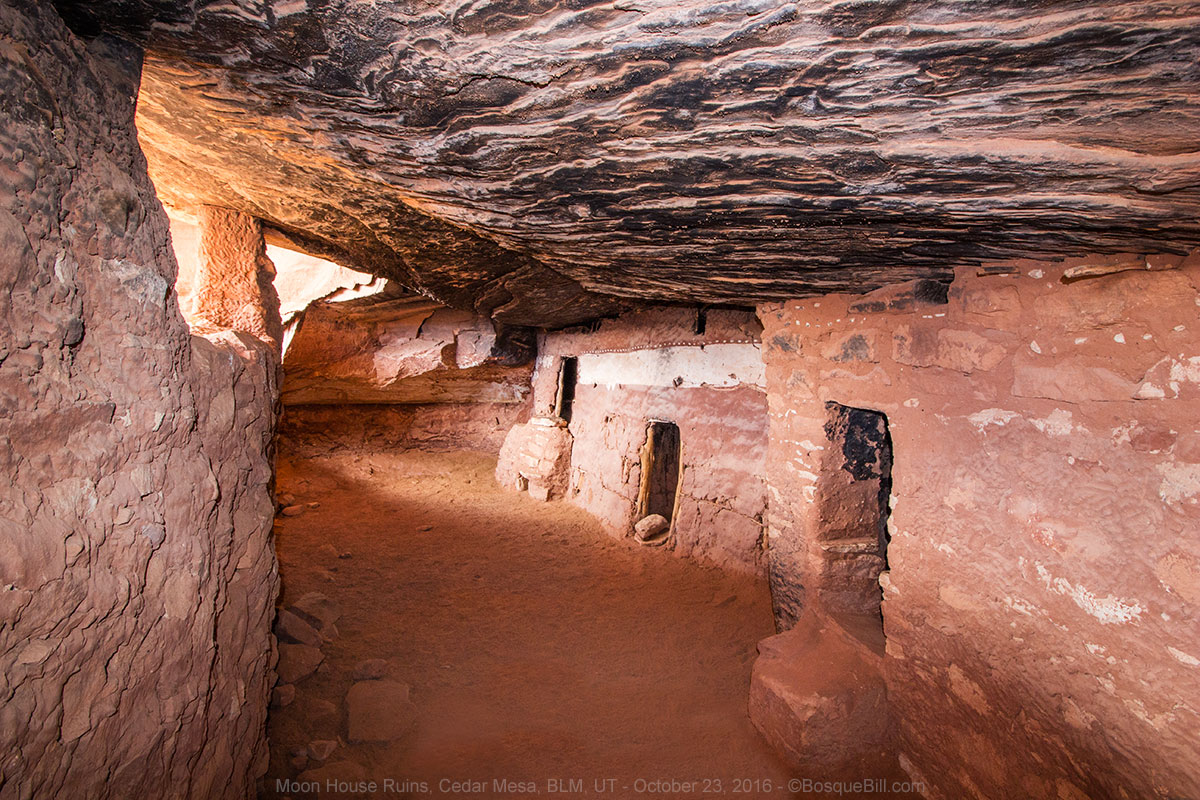 Bosque Bill's Backroads: Moon House Ruins, Cedar Mesa, Utah - October ...