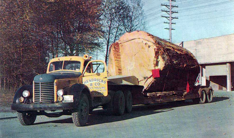 transpress nz: 1948 GMC logging truck, 1950s