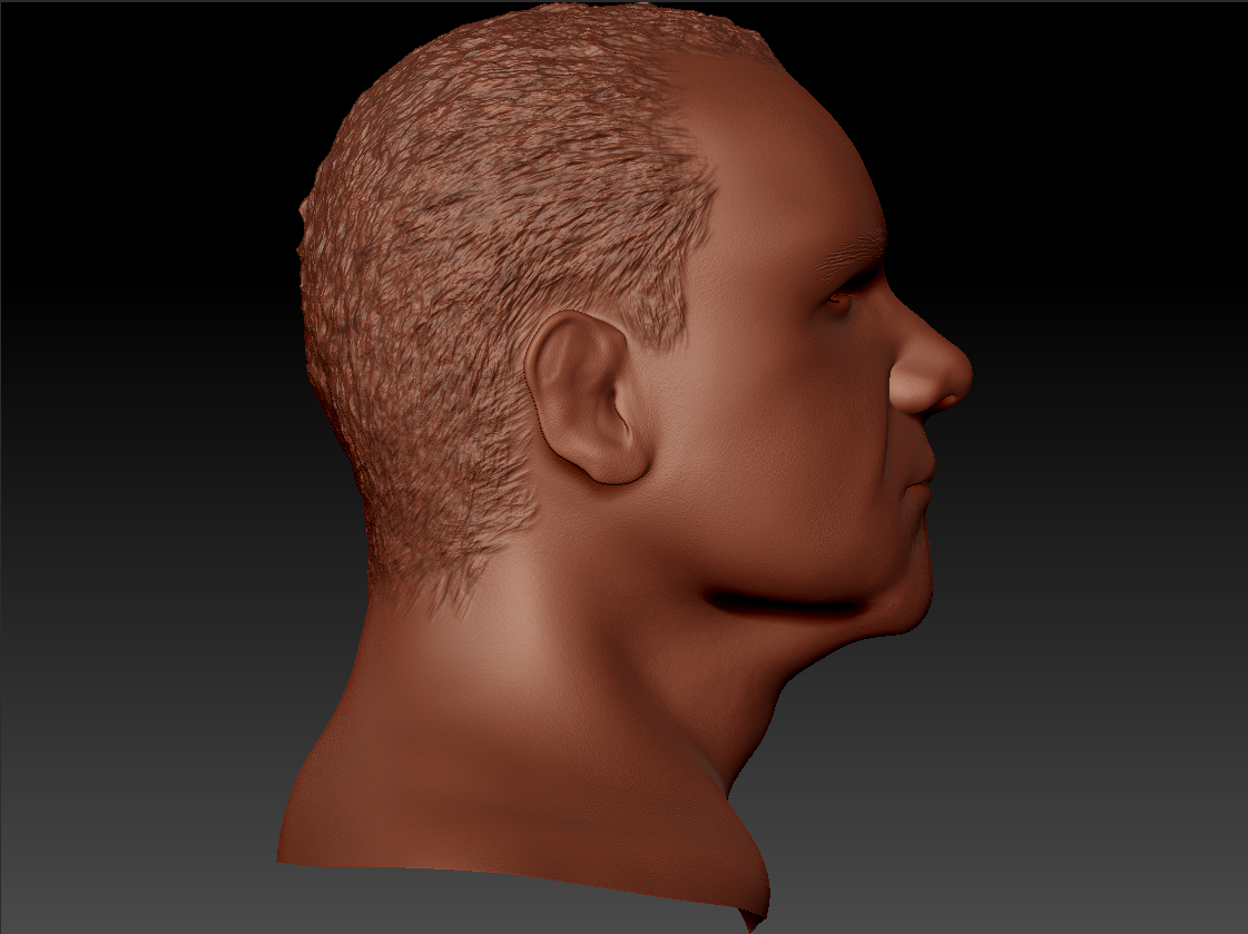 J.J.'s Character Modeler Blog: Male Head Bust Photos