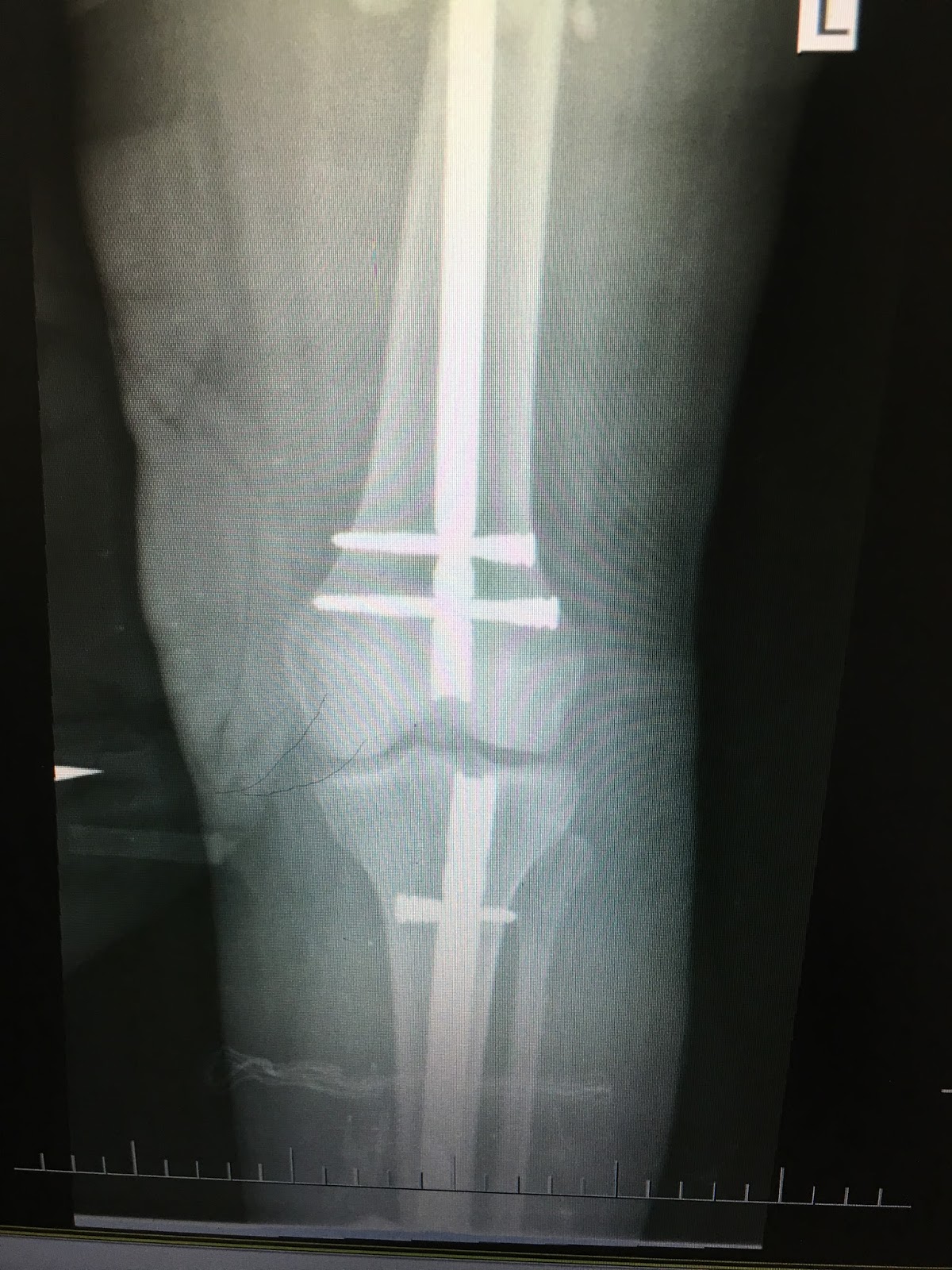 The Galat Family: Imagine!