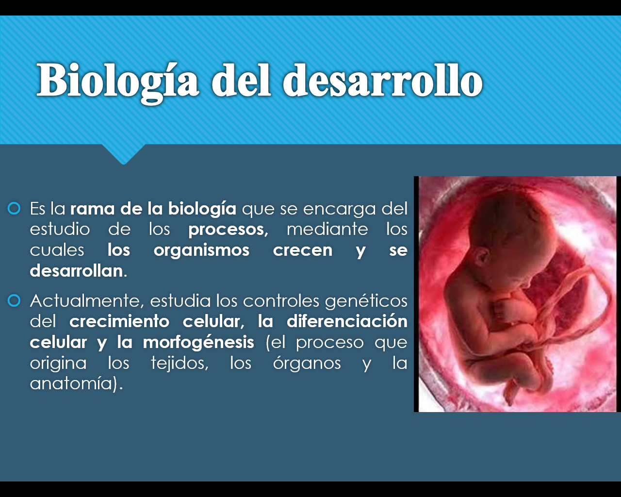 Biología del desarrollo, diferenciación y crecimiento celular