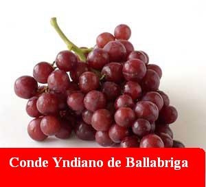 Conde Yndiano de Ballabriga: La vid roja . Mejora tus Hemorroides