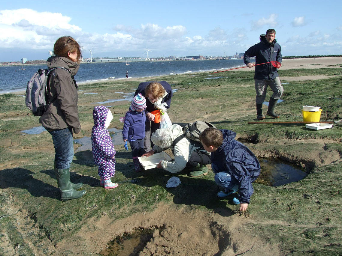 Wirral Wildlife Blog: Rock Pooling at New Brighton