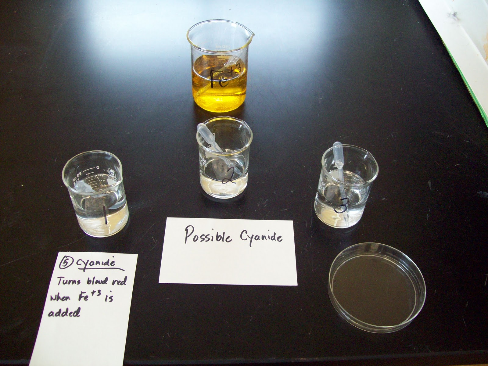 isanchezForensics: Poison Test Activity (Sunday December 4 2011)