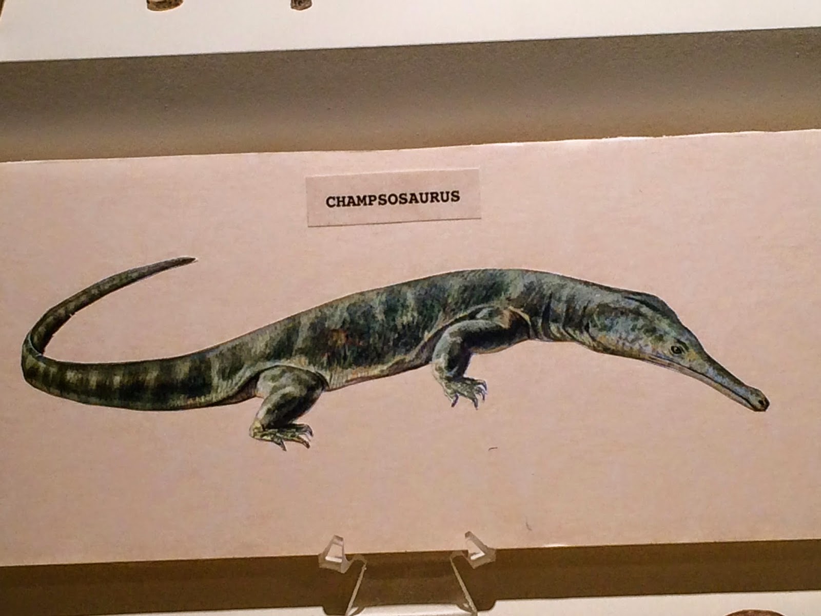 The Humboldt Diaries: A Prairie Teacher's Journey: July 2014