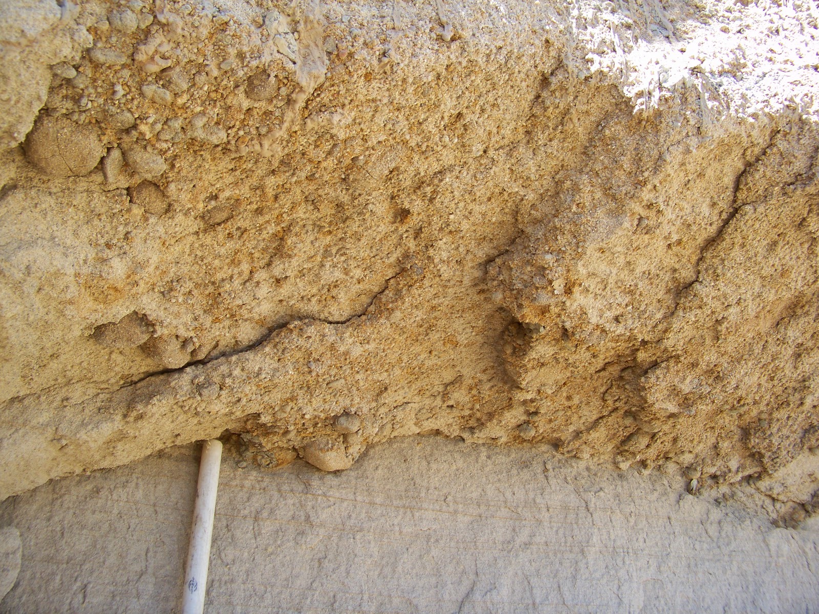 The Dynamic Earth: Armored Mudballs!